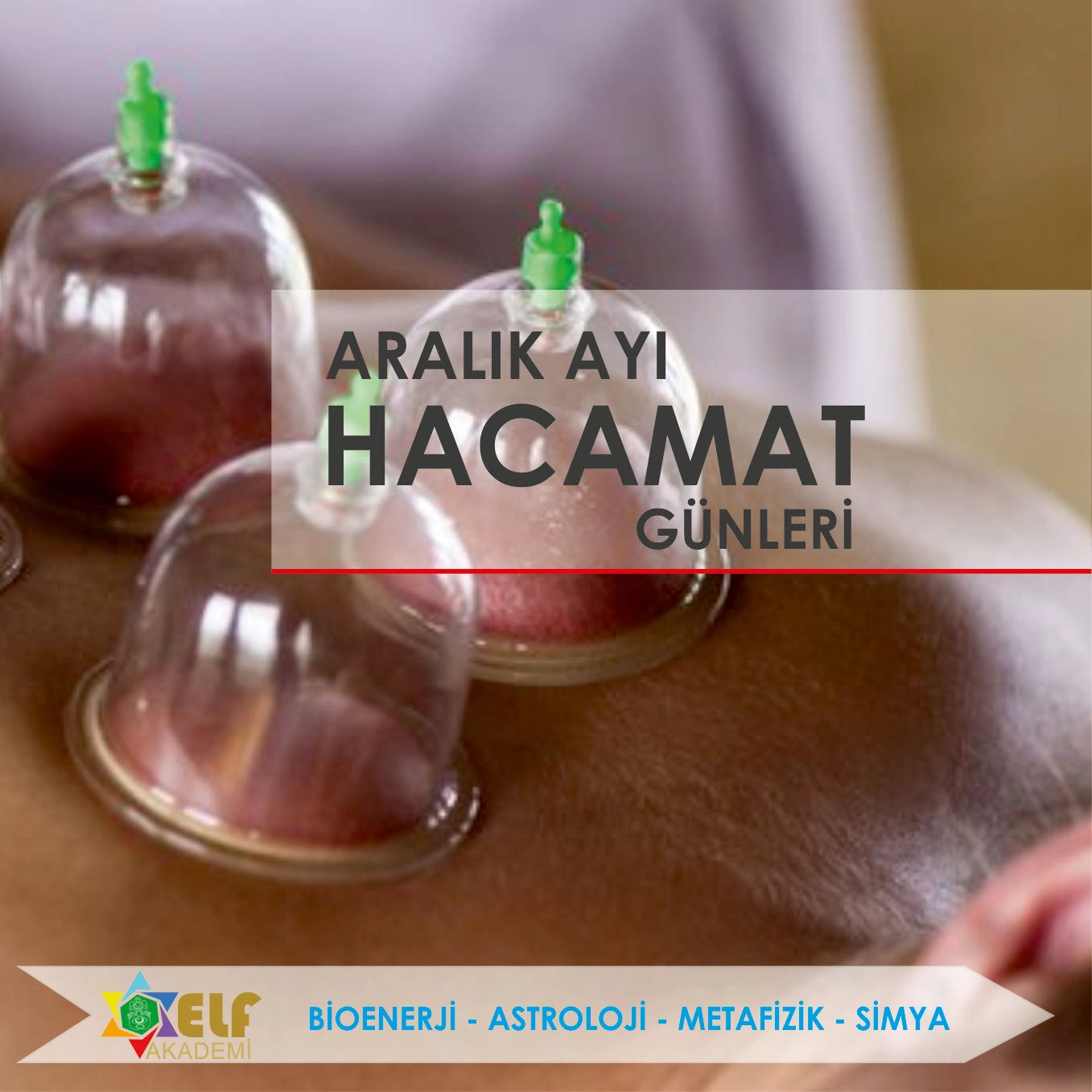 Aralık Hacamat Günleri - Özgül Yıldız